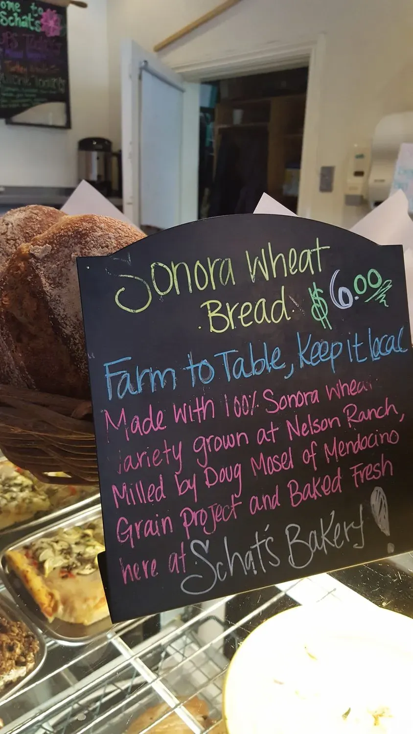 Schat's Bakery & Cafe Menu - Updated August 2025