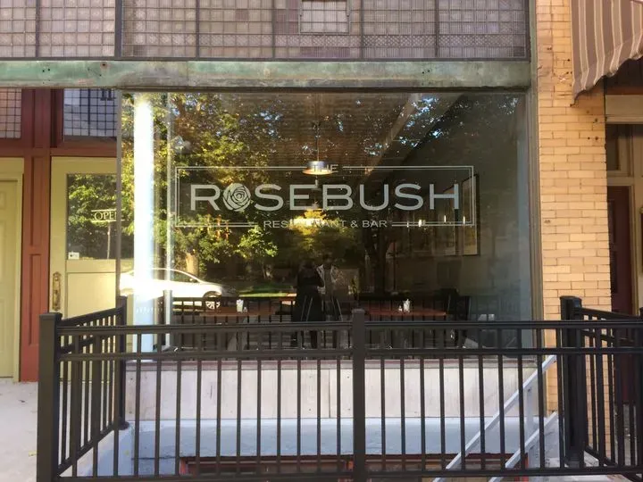 The Rosebush - Updated November 2025