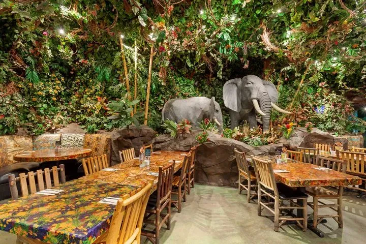 Rainforest Cafe | Tempe, AZ | Checkle