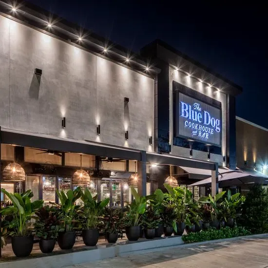 The Blue Dog | Boca Raton, FL | Checkle