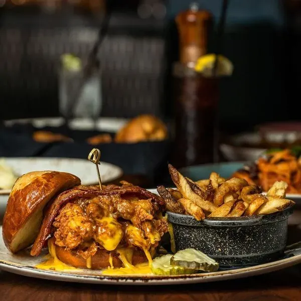 The Blue Dog | Boca Raton, FL | Checkle