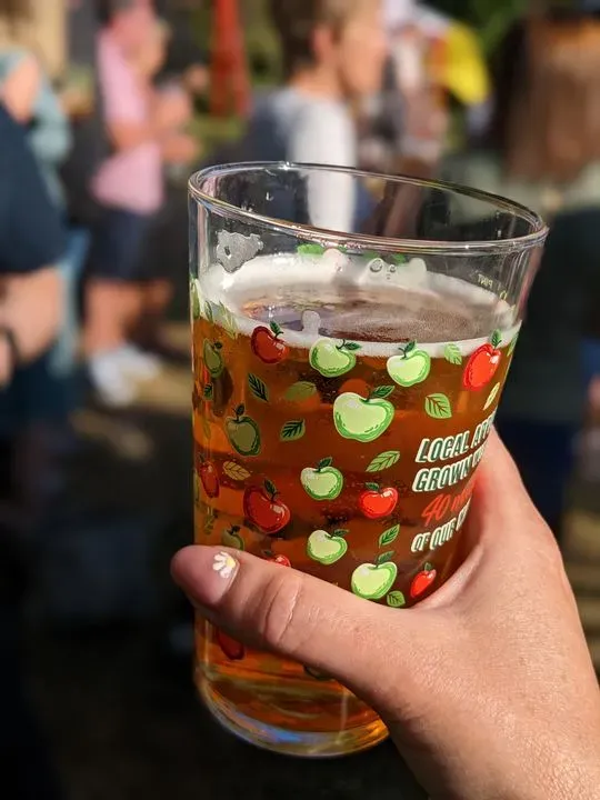 The Bush Inn | Manchester, | Checkle